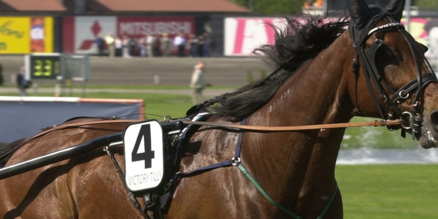 2000 VICTORY TILLY - Elitloppet