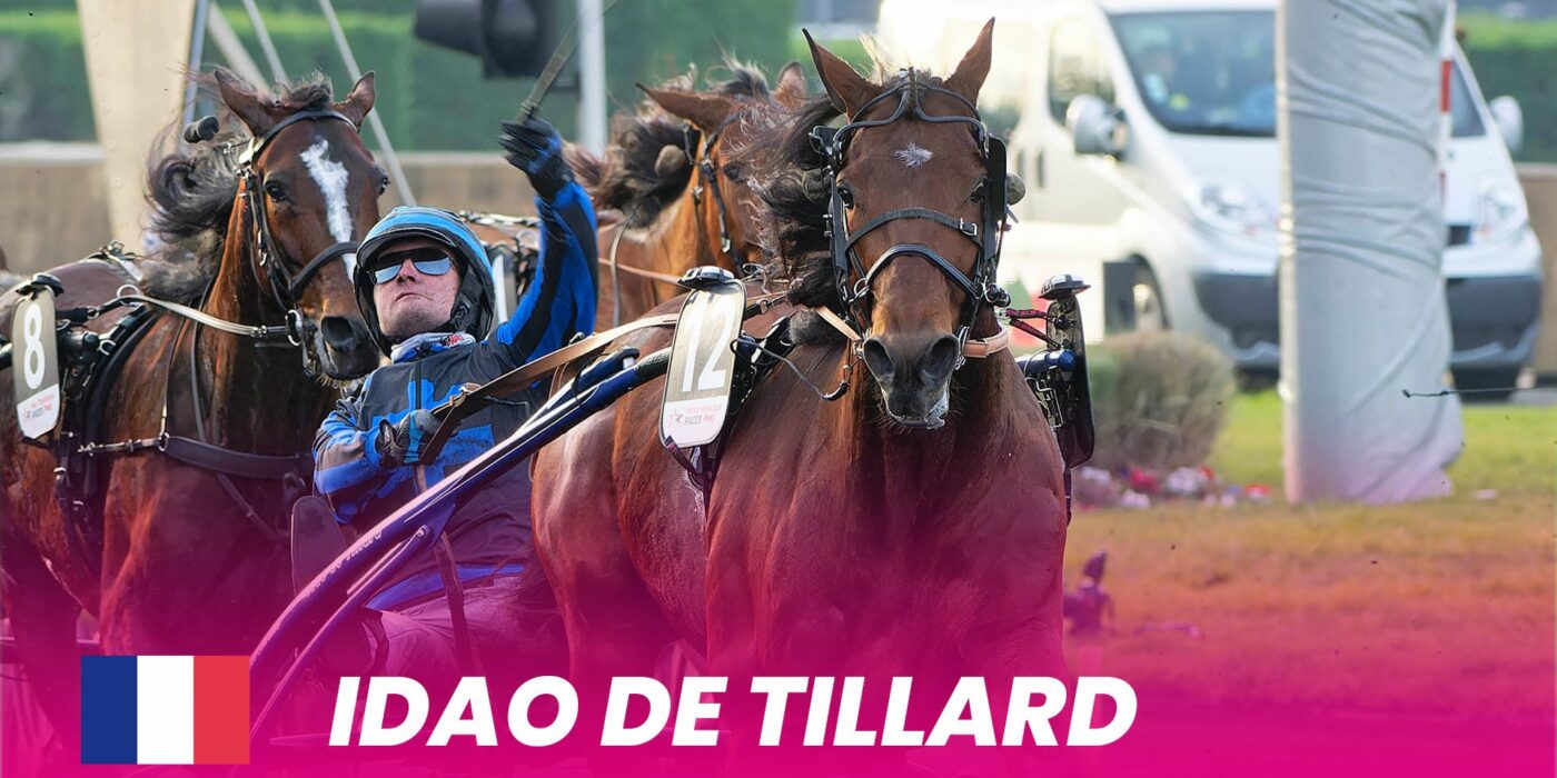 Superstjärnan Idao de Tillard kommer till Elitloppet 2024 - Elitloppet