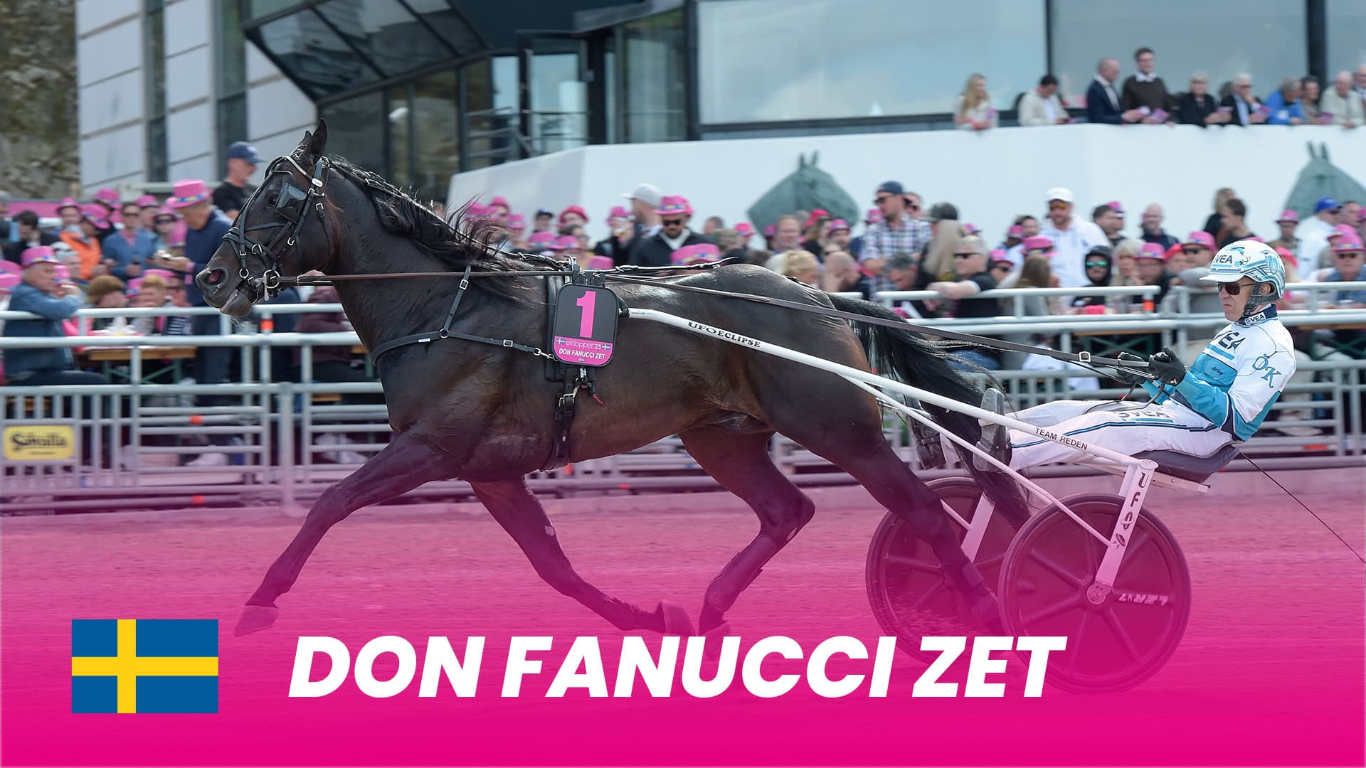 Don Fanucci Zet took direct place to Elitloppet 2025 - Elitloppet